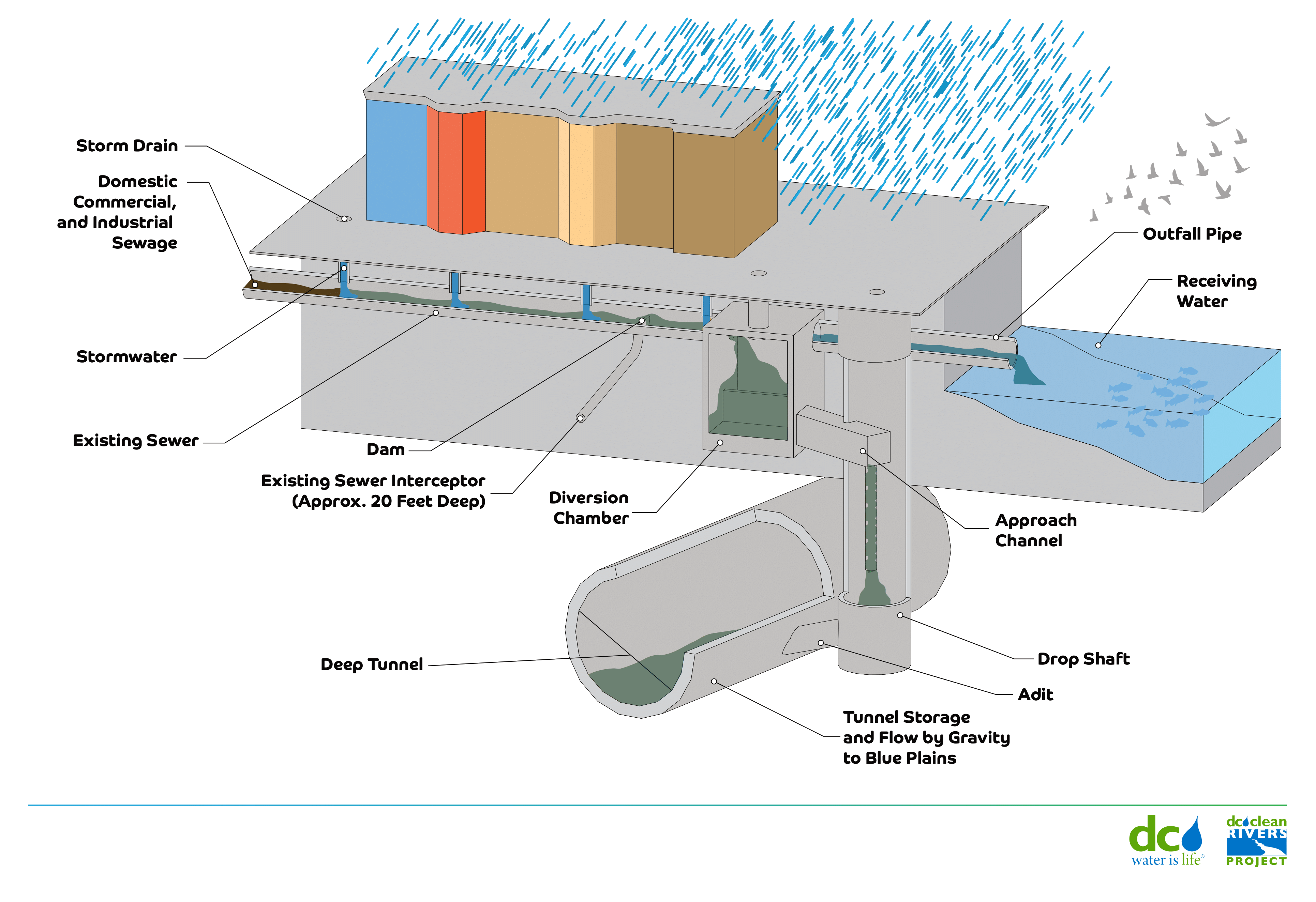Clean Rivers Project | DC Water